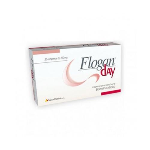 FLOGAN DAY 20CPR - Mister Salute